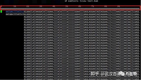 比对软件|Samtools - 知乎