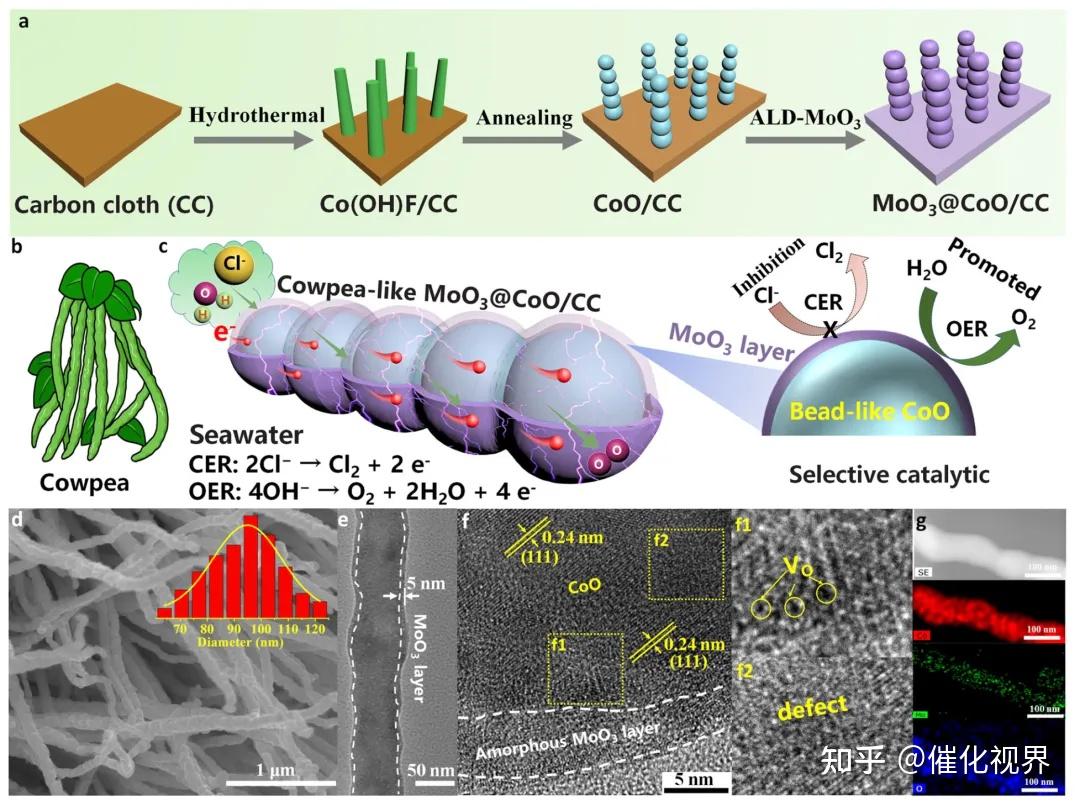 温州大学Nature Communications：定向限制的动态表面自重构助力高效海水电解制氢 - 知乎