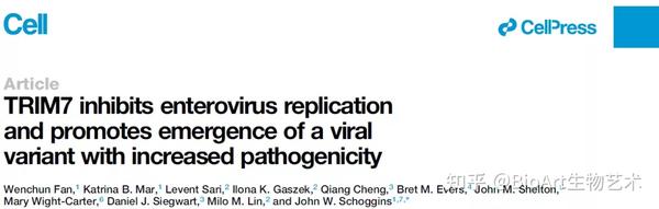 Cell | 人肠道病毒与其限制因子TRIM7的“军备竞赛” - 知乎