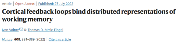 Nature最新研究: 探秘工作记忆的神经机制 - 知乎