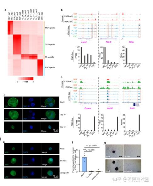 《Adv. Mater.》细胞重编程响应水凝胶！ - 知乎