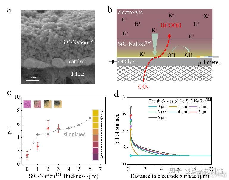 南京大学钟苗课题组Angew：分层电极结构设计实现酸性稳定高效CO2电还原 - 知乎