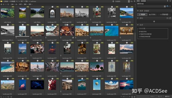 ACDSee 2023 全新发布！人工智能，实现您的灵感创意！ - 知乎