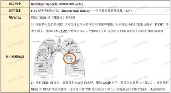 【六日评新药】进入III期临床，剑指尼达尼布！PDE4B抑制剂有望更新间质性肺疾病（ILD）治疗格局 - 知乎