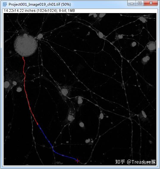 ImageJ实用技巧——Simple Neurite Tracer(插件篇) - 知乎