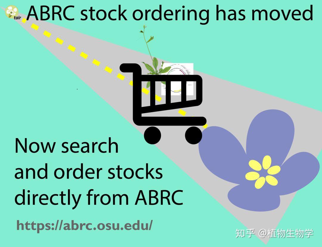 拟南芥种子订购详细攻略-TAIR-ABRC篇 - 知乎