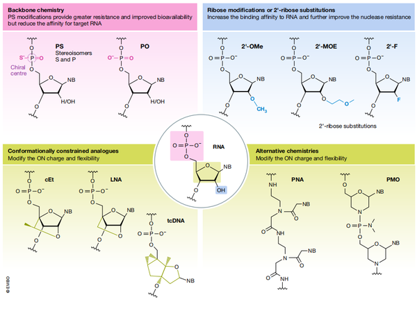 小小的亚磷酰胺，大大的RNAi药物世界 - 知乎