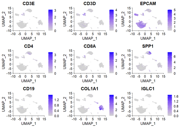 scRNA分析 | 定制 美化FeaturePlot 图，你需要的都在这 - 知乎