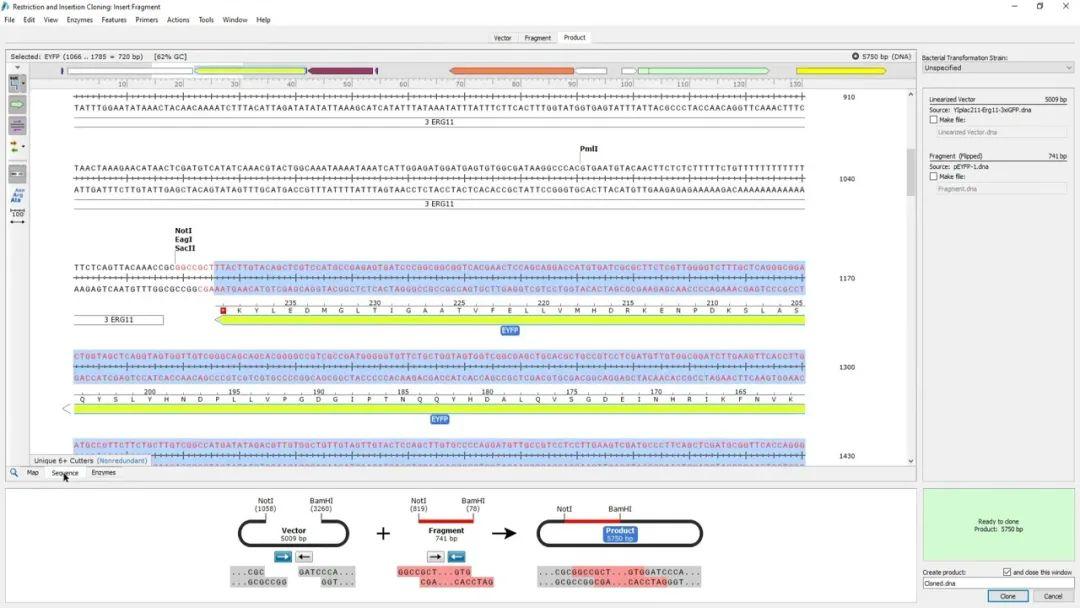 SnapGene 初学者指南 | 使用【Actions】来计划和预测你的克隆实验 - 知乎
