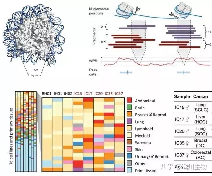 单细胞ATAC-seq技术热点了解一下 | 单细胞专题 - 知乎