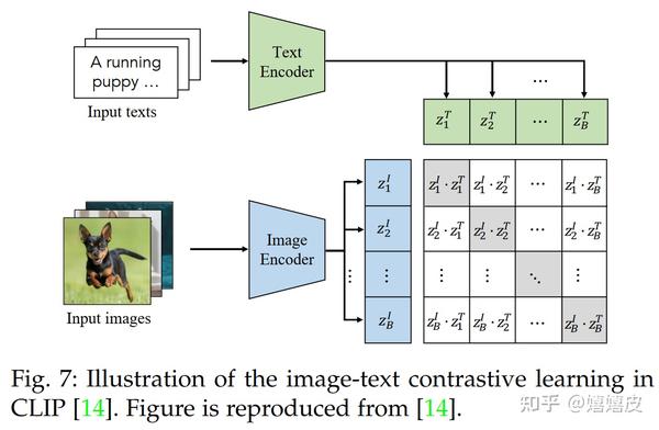 Vision-Language Models for Vision Tasks: A Survey - 知乎