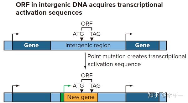 解读遗传信息之二——基因组注释 - 知乎