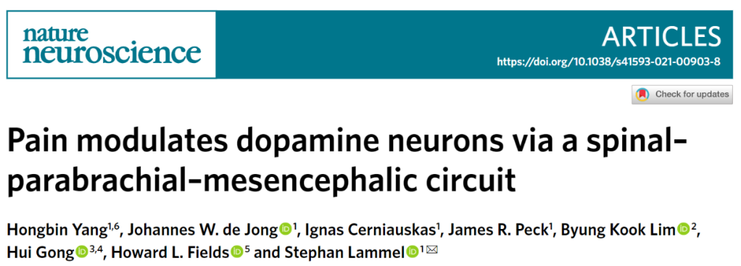[Nature Neuroscience]痛并不快乐，最新研究揭示感觉系统调控多巴胺神经元活动的神经基础 - 知乎