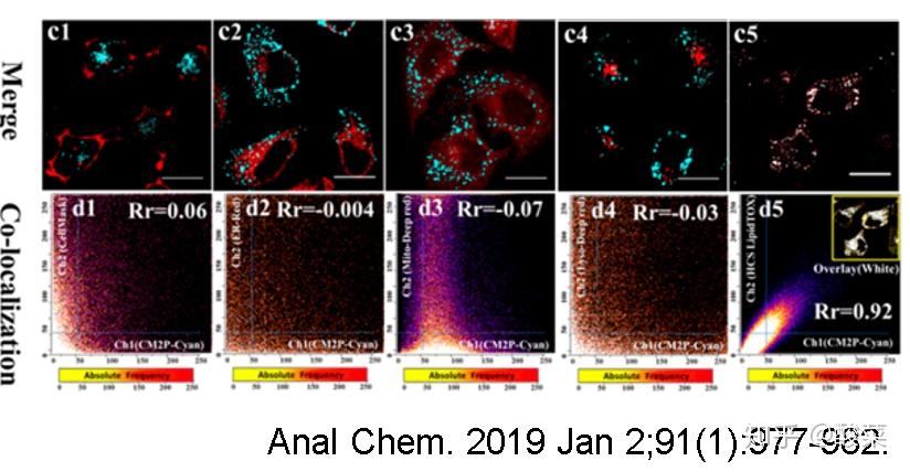看完这篇，荧光共定位分析就没问题了！ - 知乎