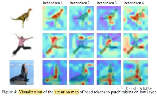 DHVT：小数据集也能轻松训练！缩小VIT与CNN鸿沟，解决从零开始的训练难题 - 知乎