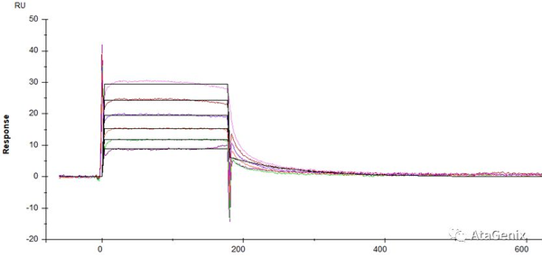 干货—Biacore分子间相互作用在科研中的应用最全汇总 - 知乎