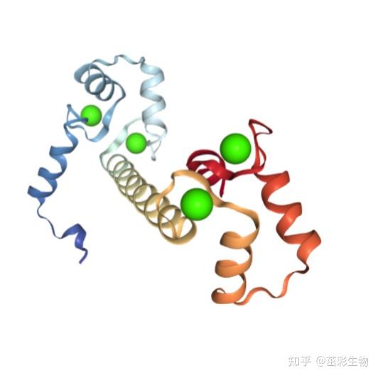 茁彩elisa系列ㅣ 钙调蛋白（CaM）；钙调蛋白3（CALM3） - 知乎