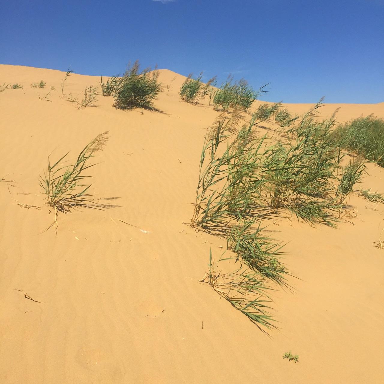 去鄂尔多斯旅游好玩吗？ - 知乎