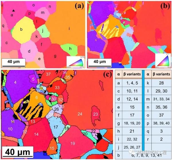 西工大《Scripta》：首次观察到！原位EBSD研究商业纯钛相变机理 - 知乎