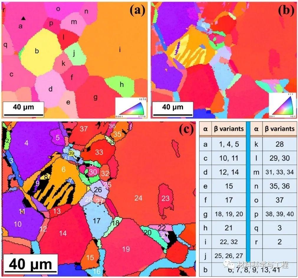 西工大《Scripta》：首次观察到！原位EBSD研究商业纯钛相变机理 - 知乎