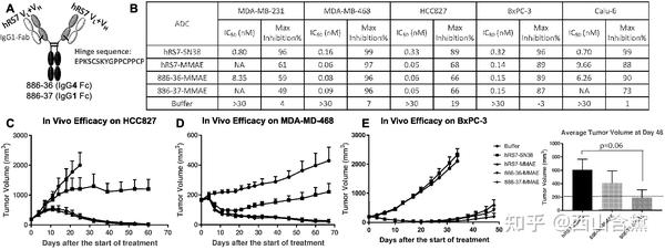 国内外知名企业ADC技术平台(第十期，药明合联） - 知乎