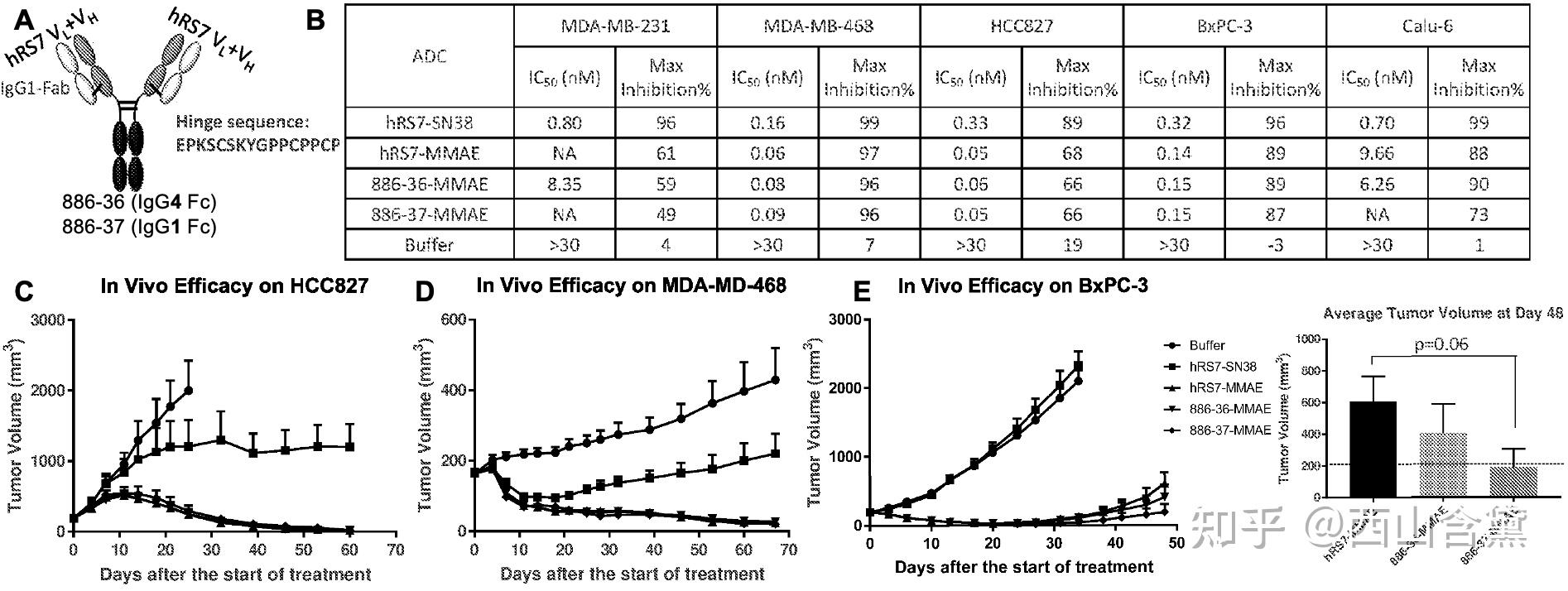 国内外知名企业ADC技术平台(第十期，药明合联） - 知乎