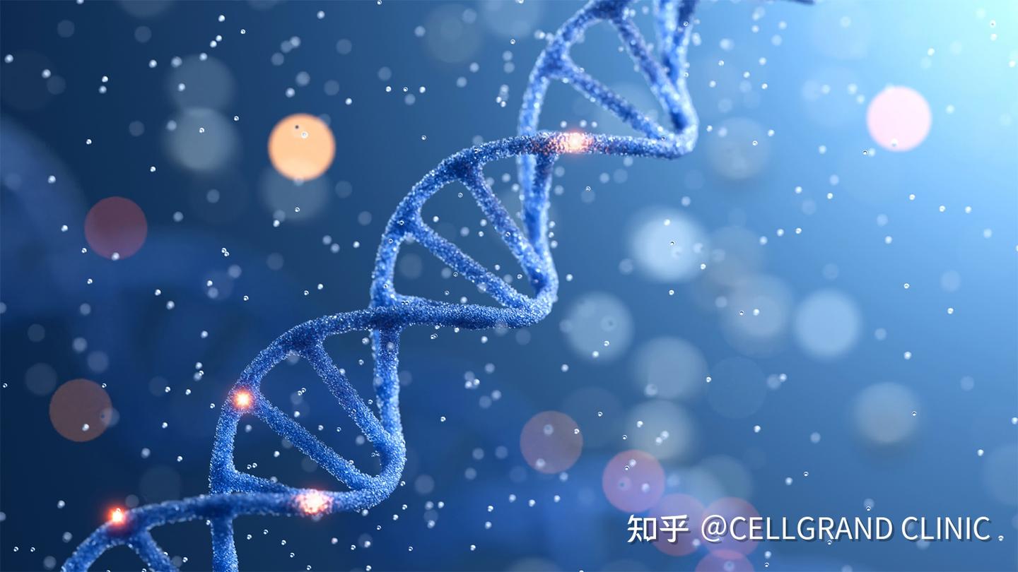 慢性疼痛的新希望！脂肪干细胞疗法（ADMSC）的疗效与最新研究证据全面解析 - 知乎