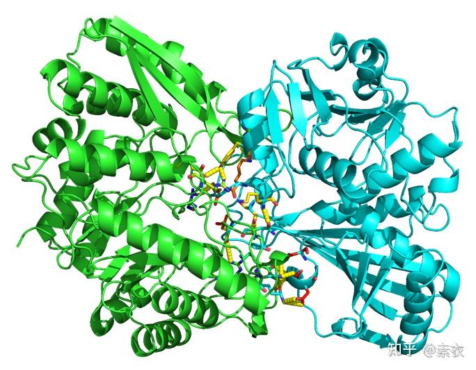 蛋白互作结构域的预测分析 - 知乎