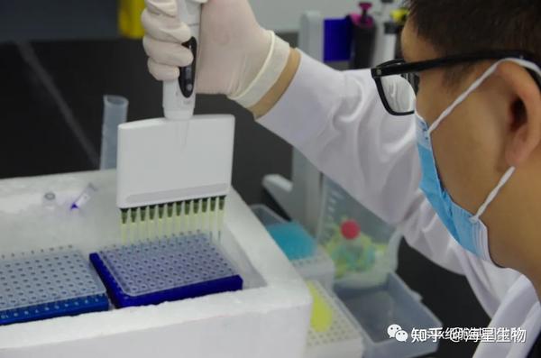 ARMS-PCR技术 - 知乎