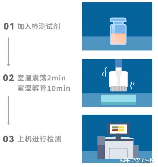 干货分享 | ATP Luminescent 细胞活力检测试剂盒的应用 - 知乎