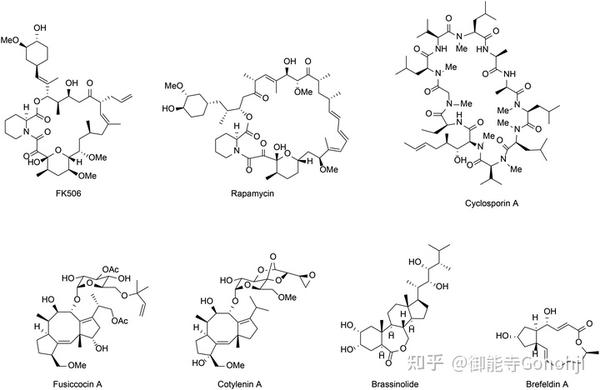 分子胶研发综述—Chasing molecular glue degraders: screening approaches - 知乎