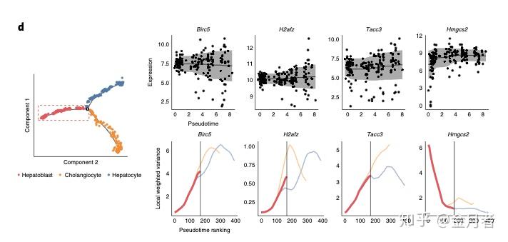Schot Single Cell Higher Order Testing 知乎