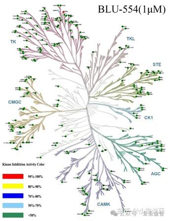 Kinase Panel_激酶谱_爱思益普 - 知乎