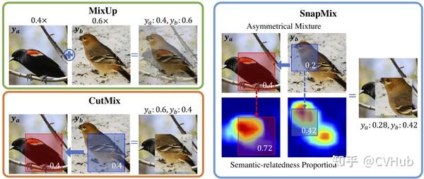 一文看尽深度学习中的各种数据增强 - 知乎