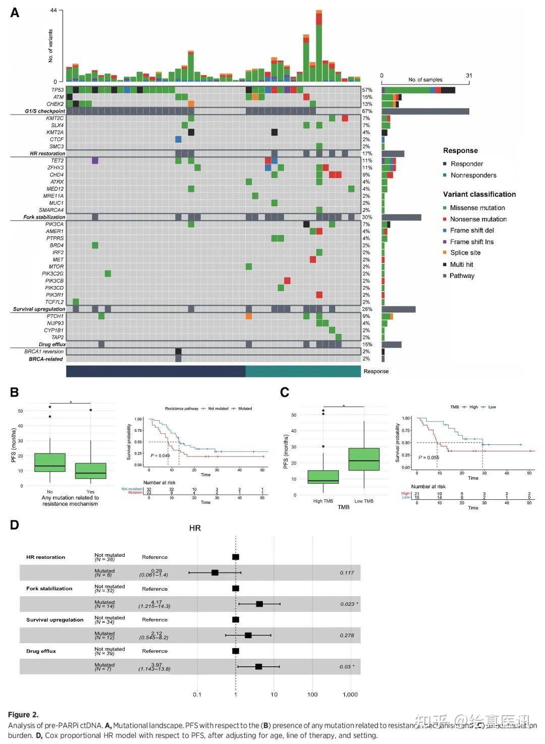 CCR重磅 | 血液ctDNA分析BRCA突变卵巢癌PARPi耐药机制及预后生存 - 知乎
