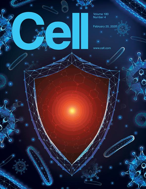 科学与艺术的结合！《CELL》100+张期刊封面鉴赏｜2020年篇 - 知乎