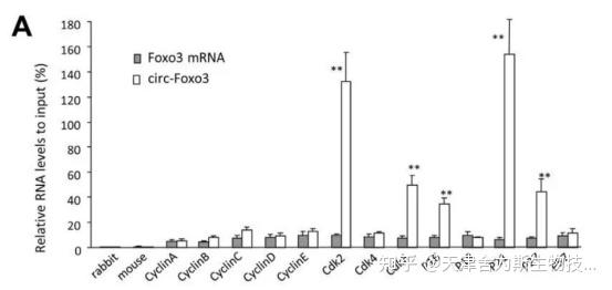 干货分享| RNA结合蛋白免疫沉淀（RIP）实验原理及报告解析 - 知乎