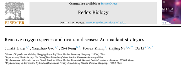 Redox Biol 综述︱中国医科大学盛京医院李达/那芷菁团队评述ROS在卵巢疾病的作用及抗氧化策略 - 知乎