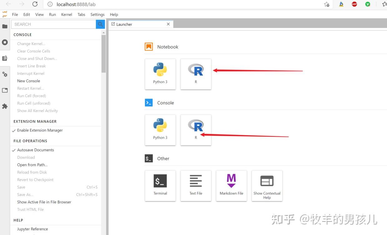 Jupyter lab 使用R语言 - 知乎