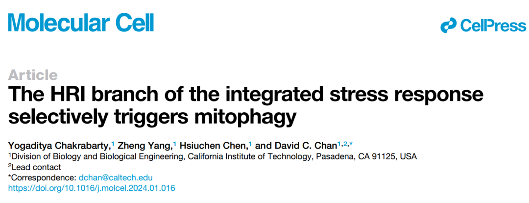 Mol Cel | 整合应激反应的HRI分支选择性驱动线粒体自噬 - 知乎