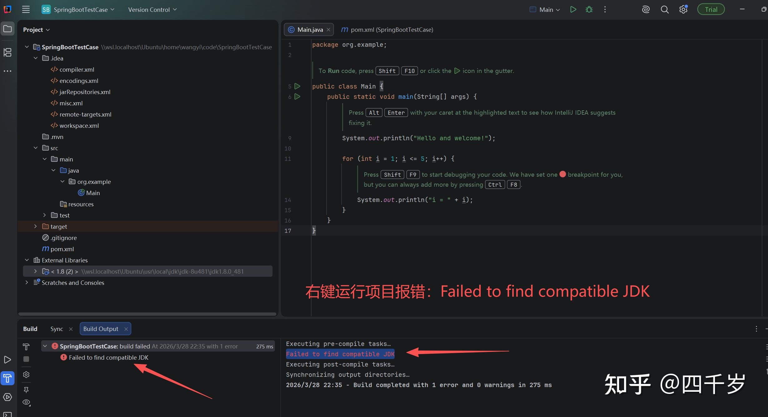 踩坑无数总结：IDEA+WSL 连接、配置、运行全攻略 - 知乎