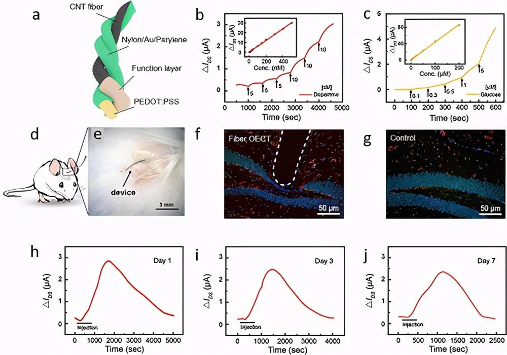复旦大学孙雪梅/彭慧胜《Acc. Mater. Res.》基于碳纳米管的可植入纤维高分子的生物传感器 - 知乎