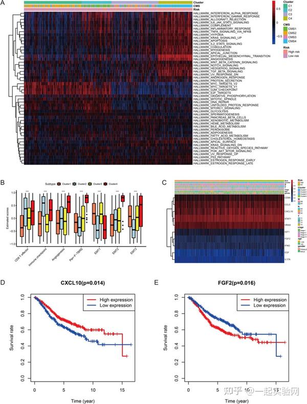 6+肿瘤生信文章，教你bulk RNA-seq+scRNA-seq的分析思路，快来抄作业！！！ - 知乎