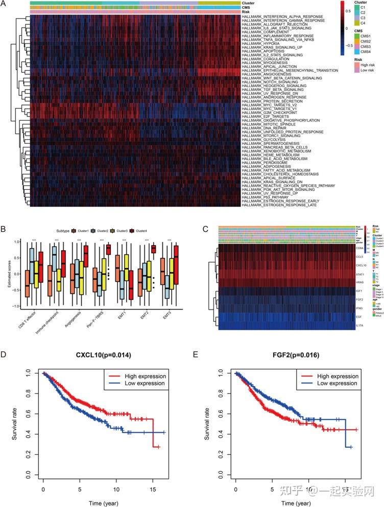 6+肿瘤生信文章，教你bulk RNA-seq+scRNA-seq的分析思路，快来抄作业！！！ - 知乎