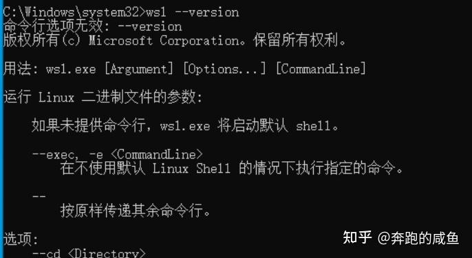 WSLg正式支持Windows10 - 知乎