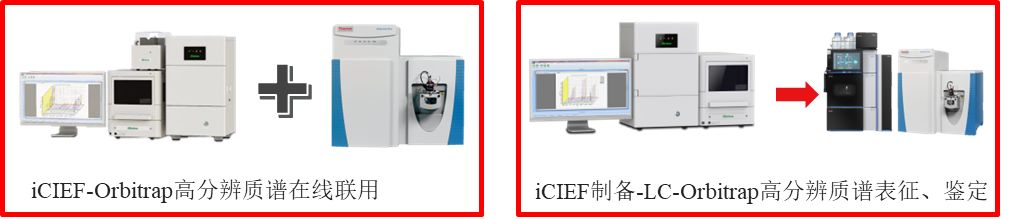 iCIEF技术与高分辨质谱连用分析生物治疗型产品应用最新进展 - 知乎