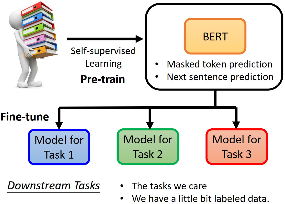 NTU-DL：CH10-Self-Supervised Learning-BERT - 知乎