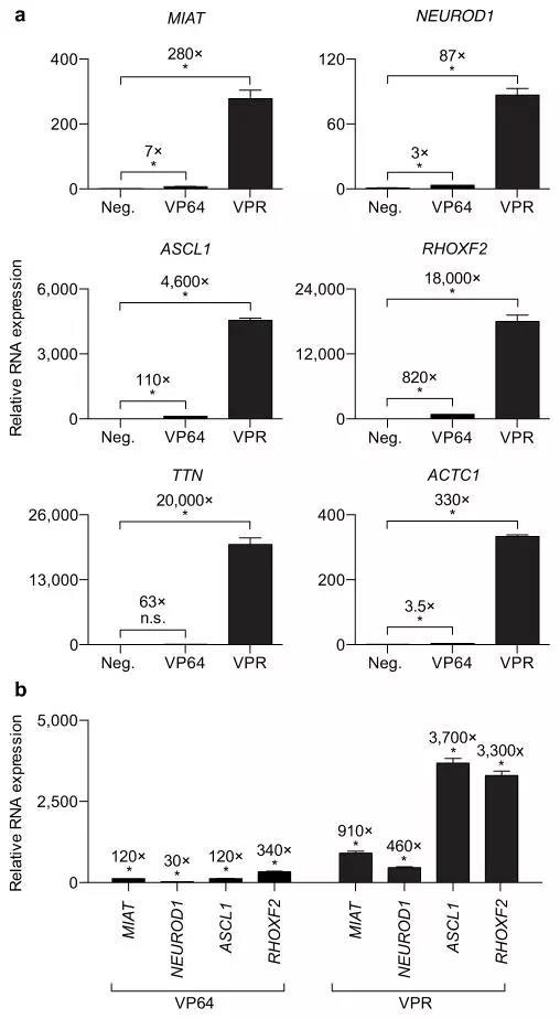 【小鼠大学问】体内内源基因调控CRISPRi与CRISPRa - 知乎
