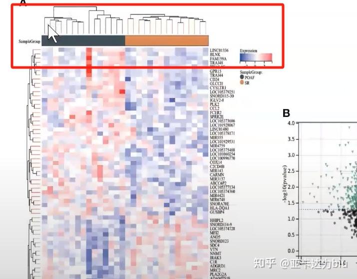 R语言热图美化pheatmap包（免费获取代码） - 知乎