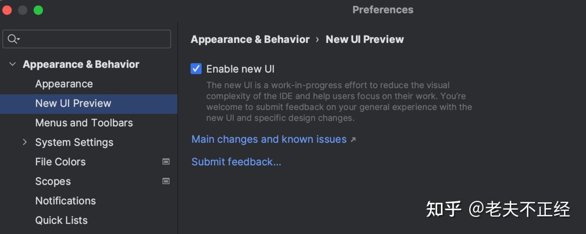 IntelliJ IDEA 2022.3：引入 Settings Sync 同步和备份自定义用户设置， 提供处理 WSL 2 中的项目的新方式 ...